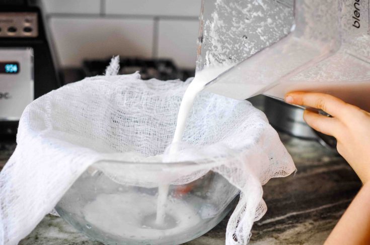 How to Make Homemade Coconut Milk (Simple Step-by-Step Tutorial)