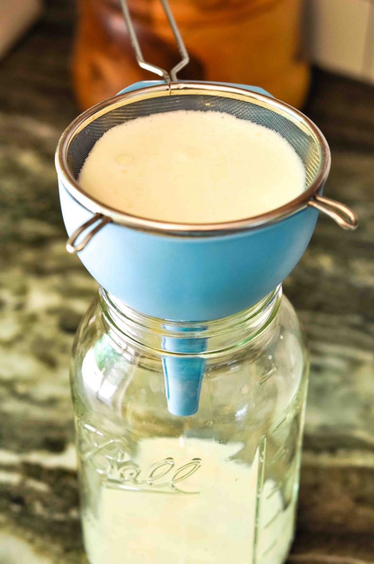 How to Make Milk Kefir (the ULTIMATE guide - your questions answered!)
