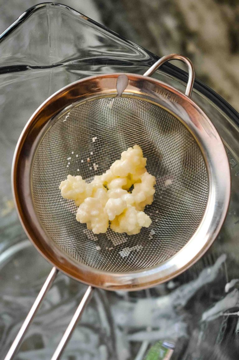 How to Make Milk Kefir (the ULTIMATE guide - your questions answered!)