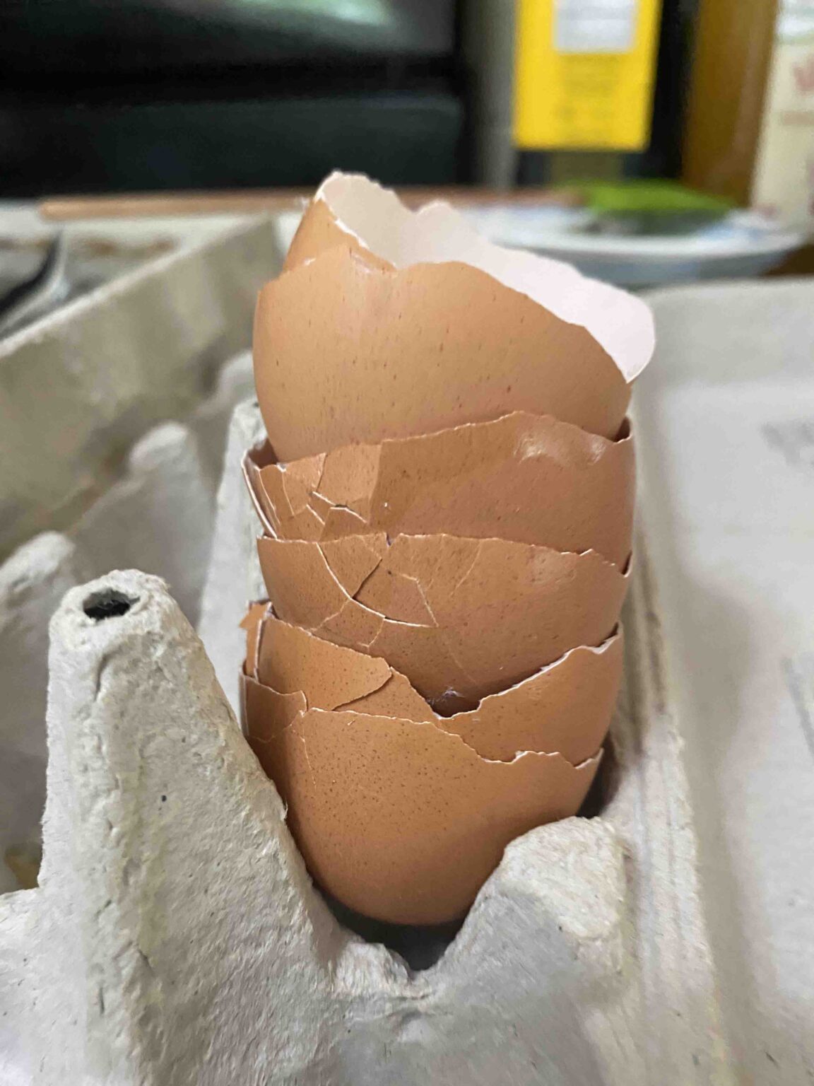 33 Genius Gardening Hacks You Must Try This Season