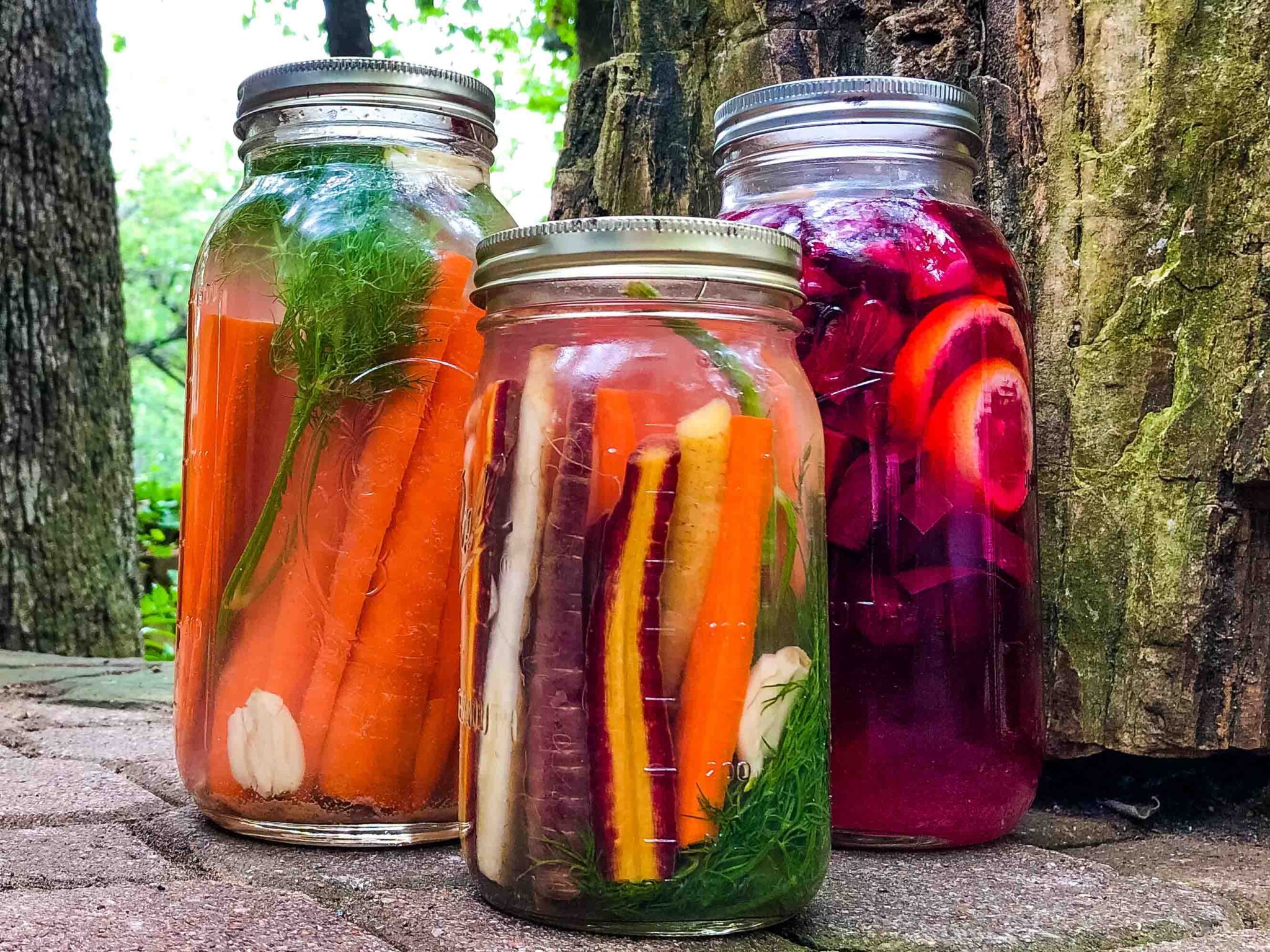 EASY Lacto-Fermented Vegetables (step-by-step, for beginners)