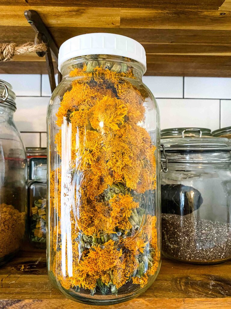 Calendula Tea Benefits & Recipe (+17 Other Ways to Use Calendula)