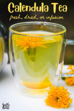 Calendula Tea Benefits & Recipe (+17 Other Ways to Use Calendula)