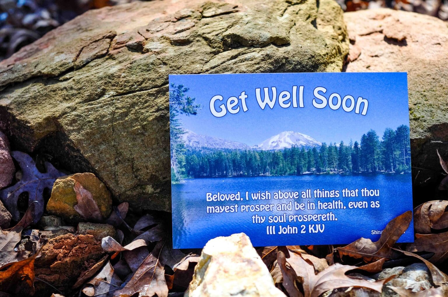 50+ Bible Verses for Healing to Provide Strength & Comfort