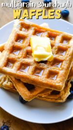 Multigrain Sourdough Waffles (whole grain & nutrient-packed)