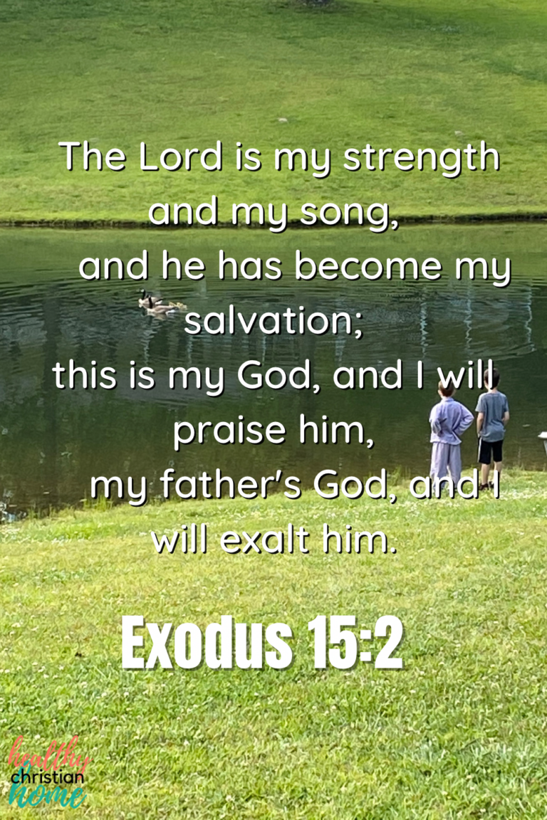 60+ Bible Verses for Strength (When Life Gets Hard)